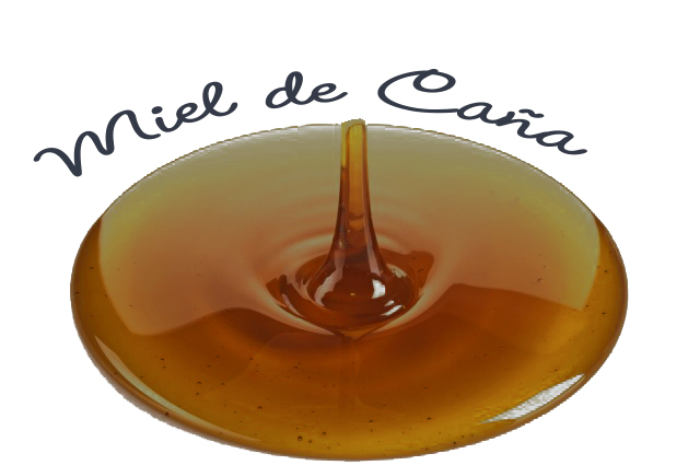 Miel de caña o melaza: La dulce miel negra "blackstrap"