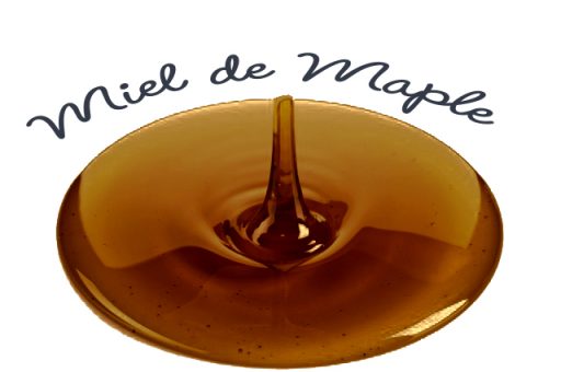 La miel de abeja, su proceso de recolección y sus protagonistas